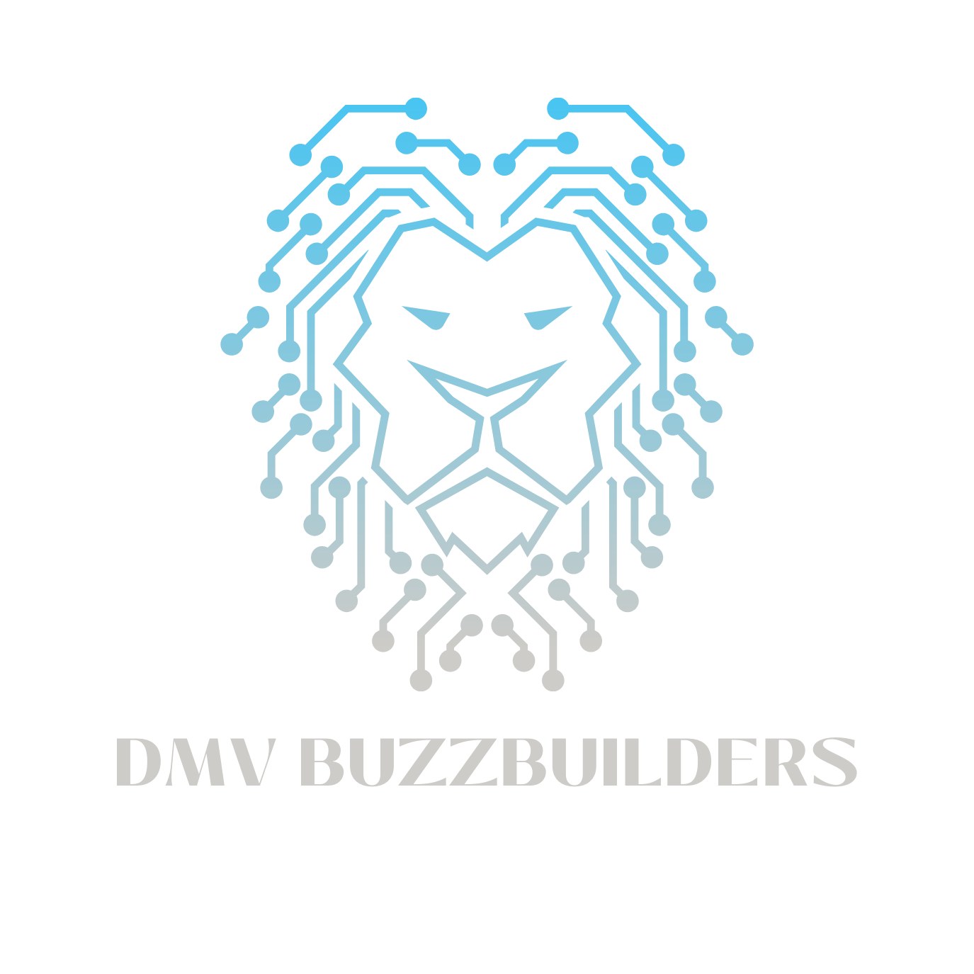 DMV Buzz Builders | Content creation | SEO | Website building & more ...
